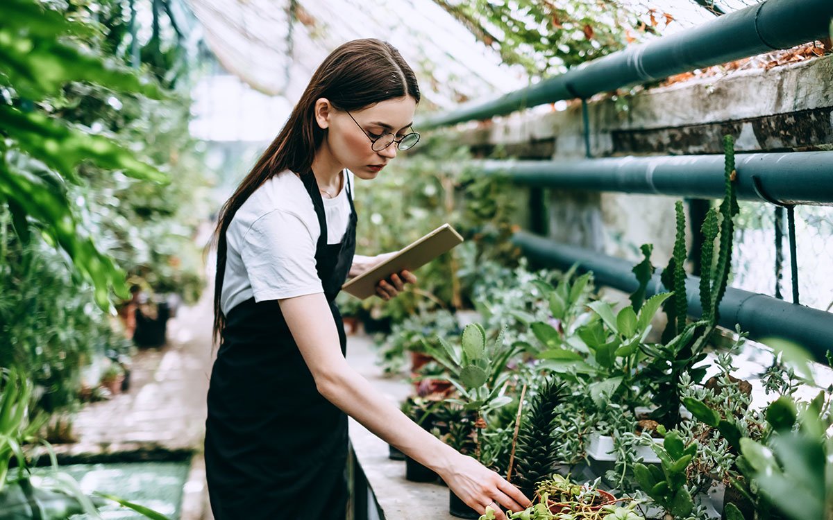 IoT Engineer Camp - edutic